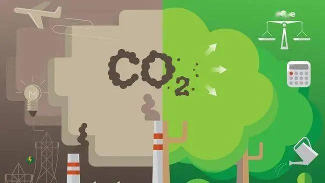 什么是碳中和、碳达峰、碳汇、碳配额、碳交易，CCUS、CCER，你都懂吗？ - 气体汇