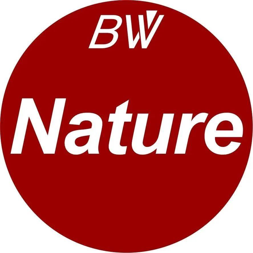 Nature子刊：发现治疗白血病的新型免疫疗法_细胞_进行_开发