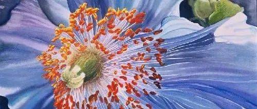 Marney Ward笔下的水彩花卉世界，瞬间迷倒千万人，美到窒息..._花朵_书法_公众