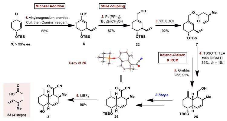 天然抗生素Amycolamicin/Kibdelomycin的全合成_片段_结构_产物