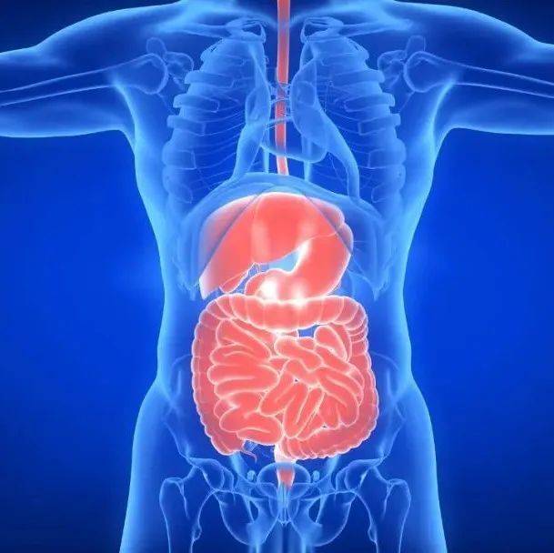 Gastroenterology：食品添加剂羧甲基纤维素会破坏肠道菌群和代谢环境_研究人员_食用_结果表明