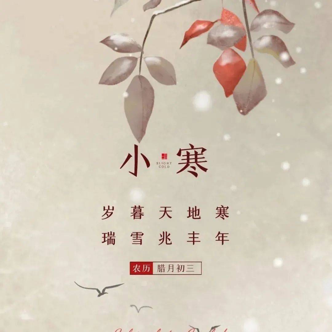 今日小寒，要做踏雪鸿，要做雪中松版权时闻莫怪严