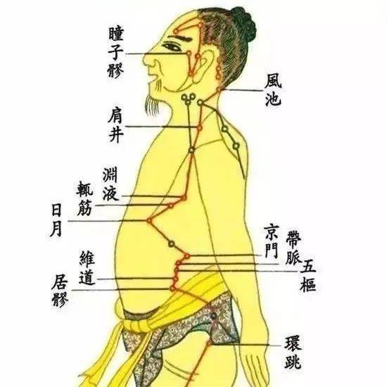 胆经一通,万病无踪,一套真人胆经操,5分钟学会,早练早受益身体双手双腿