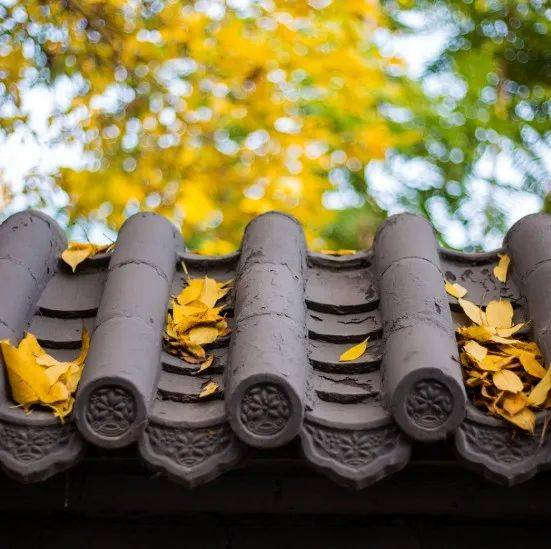 管住自己的嘴，别说这些话评价关系时候