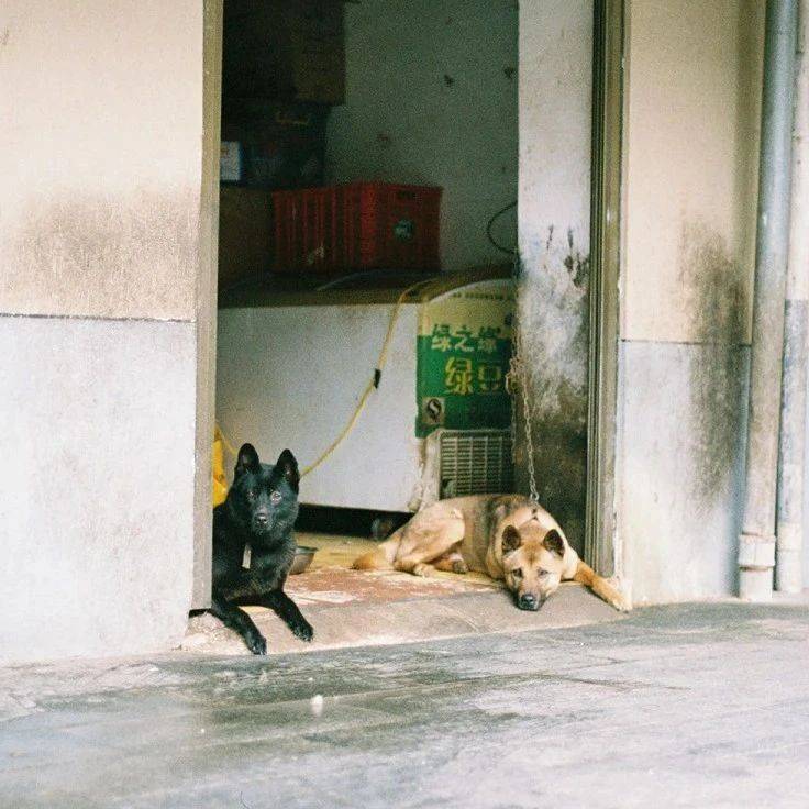 潮宗街 | 投稿作品_木藤_版权_拍摄者