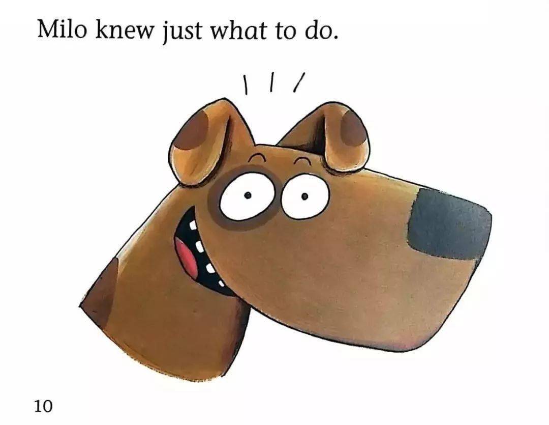 绘本阅读|Milo’s Moustache_Cat_Big_英语