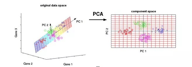30 分钟看懂 PCA 主成分分析_方向_dfdata_样本