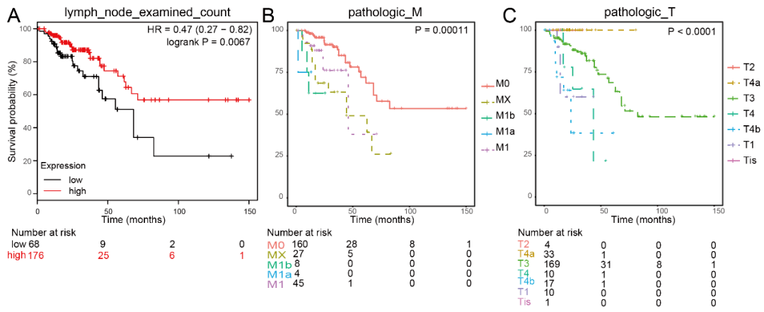 Graphpad prism9绘制生存曲线_实验_差异_科研