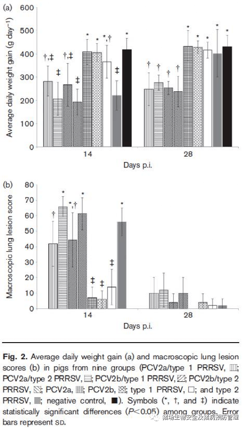 PCV2和PRRSV各两种基因型混合感染引起圆环病毒相关病变的比较_lesion_Days_注释