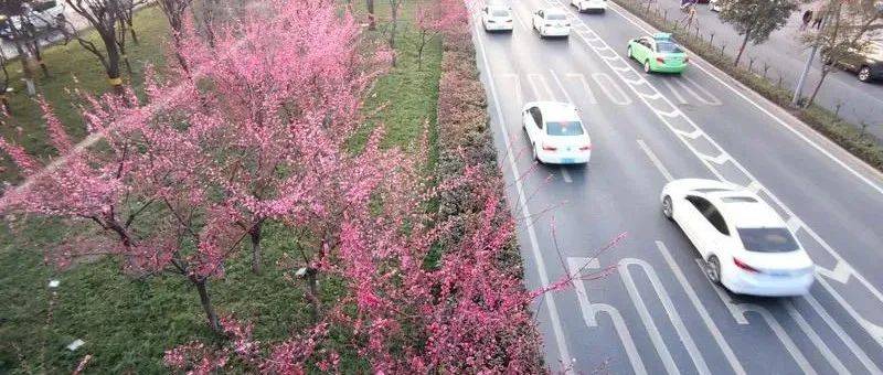 早安·西安丨今日起，这条公交线路有变化冯晓瑞青少年省道 