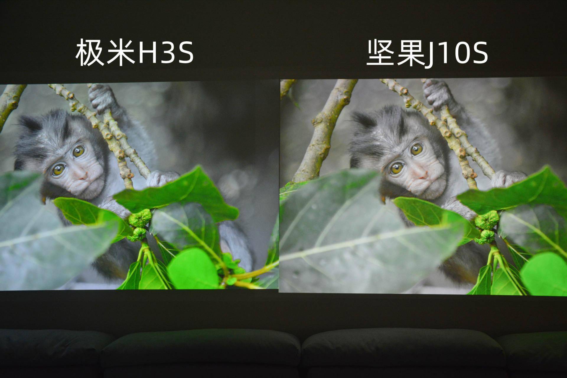 投影怎么选：极米H3S与坚果J10S两款爆品横评对比，细节决定成败_配置_色彩_i-Chips
