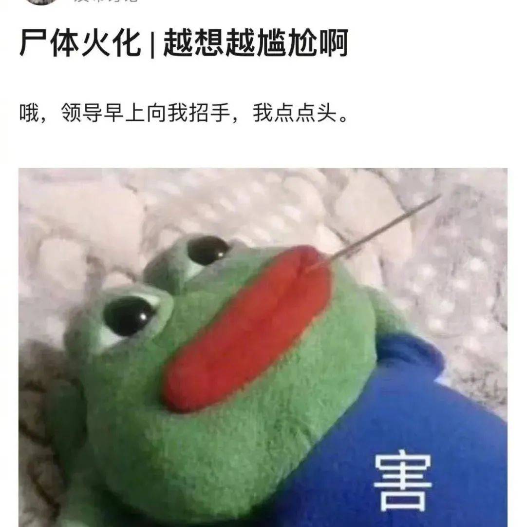 刚入职就社死了 Humor 相关 员工