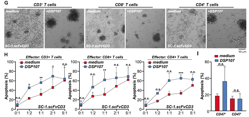 新型靶向CD474-1BB的双功能三聚体融合蛋白_细胞_相关_下图