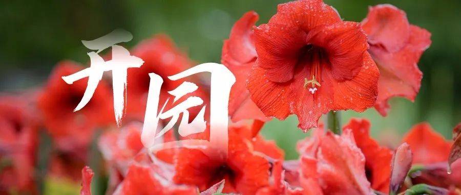 仙湖植物园今起恢复开放工作防控深圳市