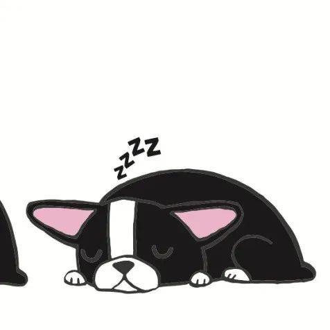 【双语时政专栏】——为什么漫画中要用“Zzz”表示睡眠呢？_see_words_to