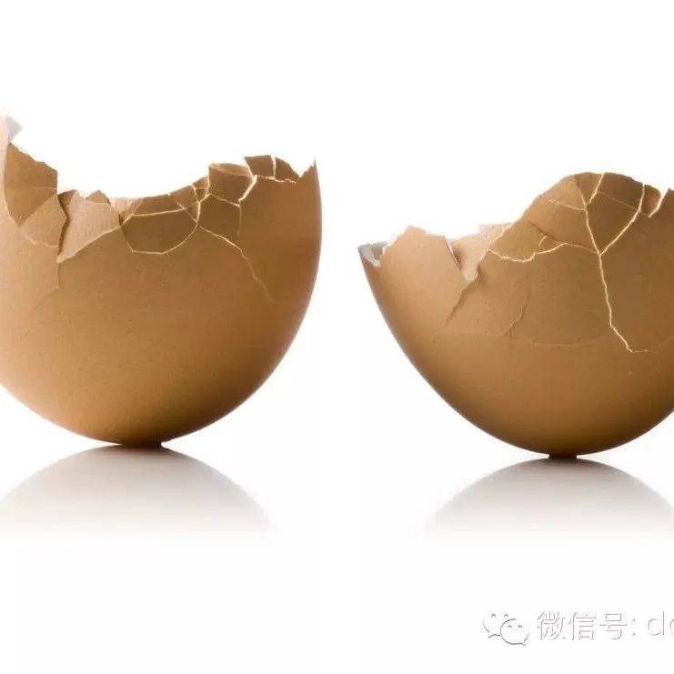 如何减少破壳蛋？_蛋壳_影响_蛋鸡
