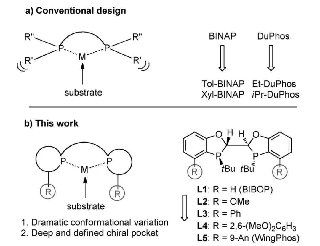 大位阻Suzuki偶联怎么破？上海有机所汤文军教授的这类配体助你一举攻克_反应_WingPhos_手性