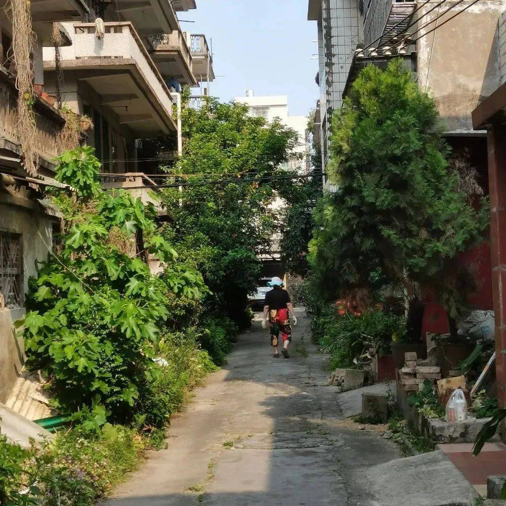 打通回家“最后一公里”！玉城98条背街小巷和1个口袋公园即将开建_建设_玉林_城市