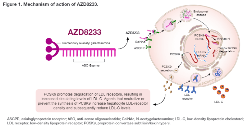 精准、长效、安全，小干扰核酸降脂药物最新研究一文读懂！_降低_mg_水平