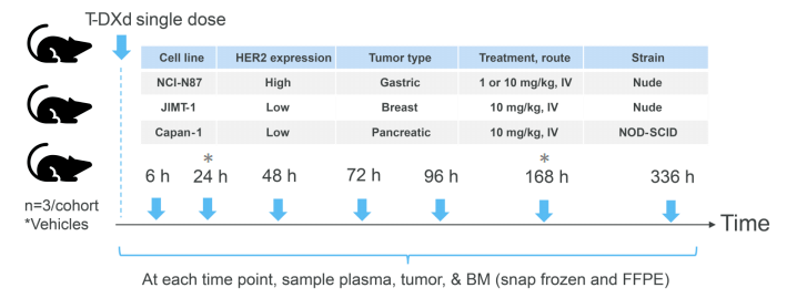 盛湲教授：ADC药物的狂欢—AACR T-DXd最新数据盘点_研究_细胞_治疗