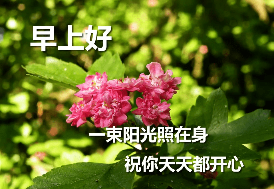靠近那些给你正能量的人!生活带着阴霾