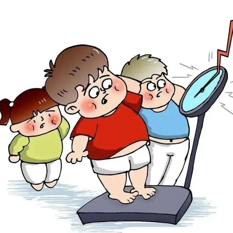 浙江中小学生超重、肥胖等现状数据公布,专家这样建议营养调查结果温州