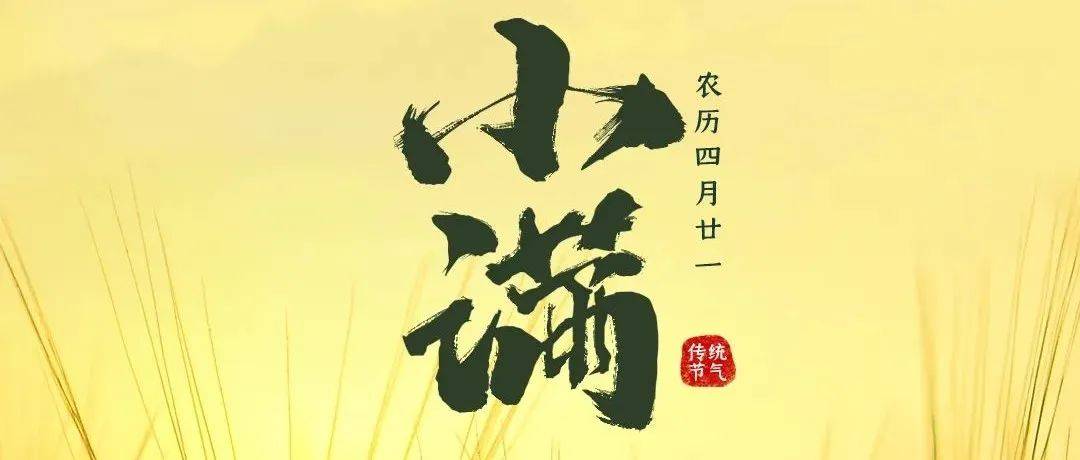 节气丨今日小满:物至于此,小得盈满 子粒 夏熟作物 夜莺