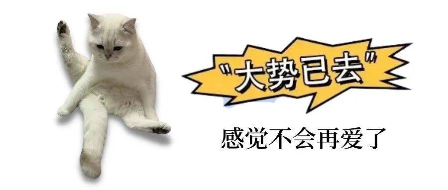 猫咪不听话到处乱尿，那就官方猫砂课堂