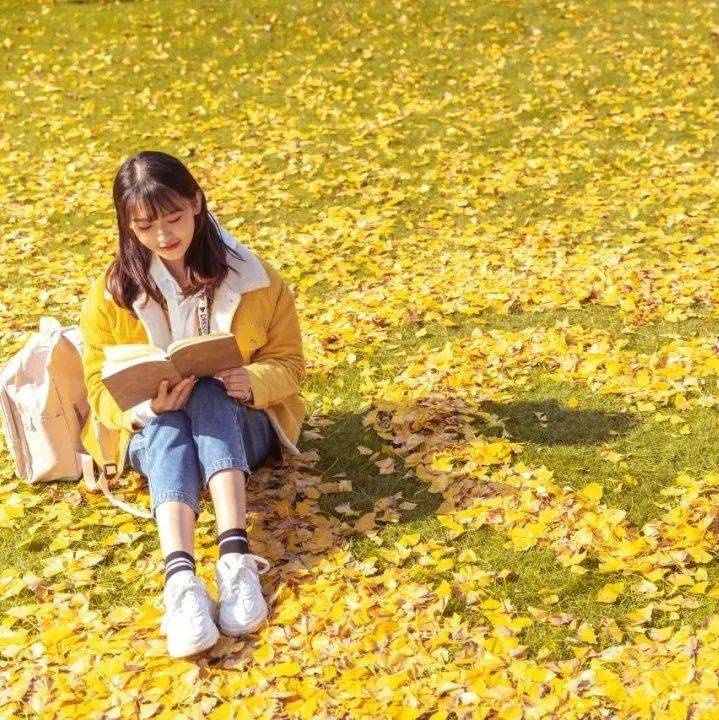 懂(写的真好)是一种一个人因为