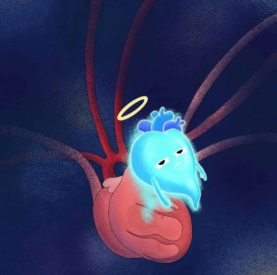 你的心脏，就是这样一步一步坏掉的！_壮壮_Feidi_策划