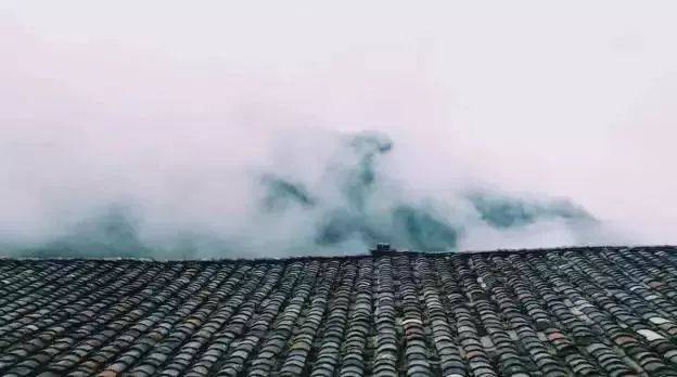 且敬往事一杯酒,愿无岁月可回头花就人生时间