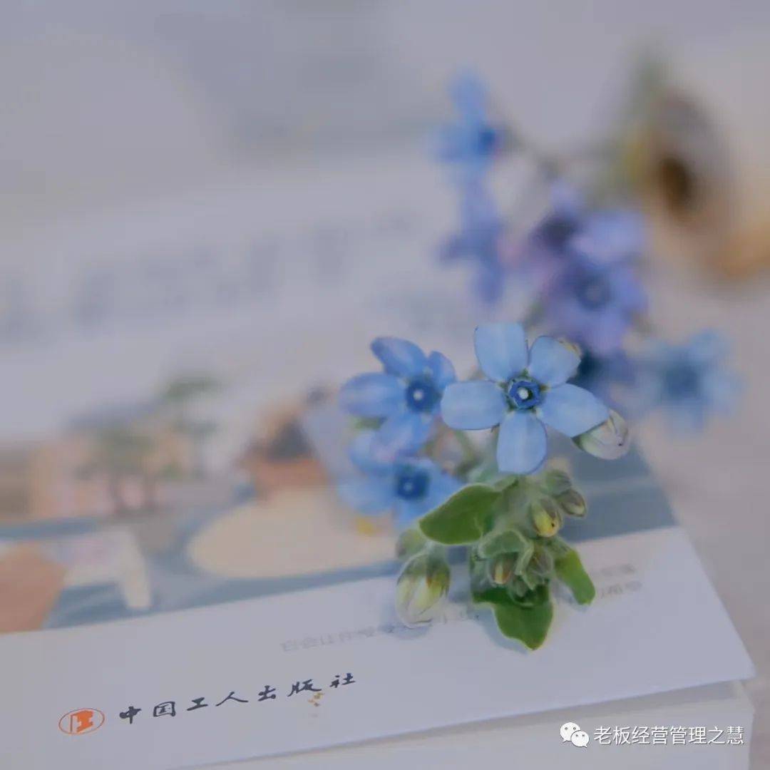 你有后悔的事情吗人生写作素封