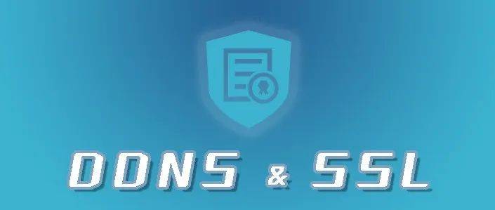 用.NET做DDNS动态域名解析和SSL证书申请_访问_工具_服务