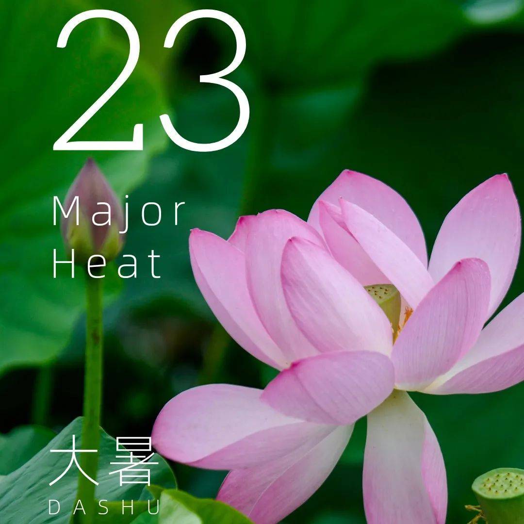 【二十四节气】今日大暑甘州区审核许杰