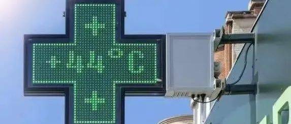 葡萄烤成“葡萄干”？或致产能+价格大波动？| 微酿观察_高温_影响_欧洲