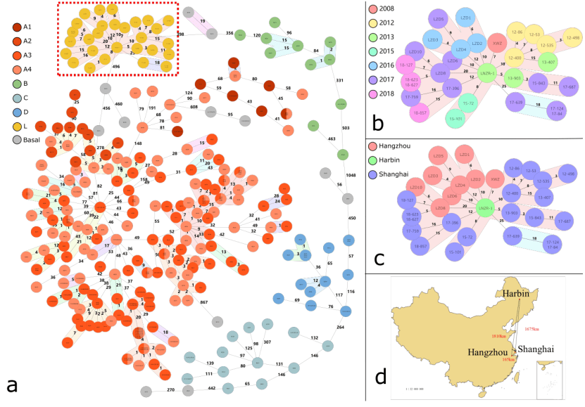 Nat Commun|俞云松/陈衍课题组发文建立追踪头状葡萄球菌多重耐药菌新方法_cgMLST_基因组_克隆
