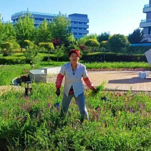 健康家庭风采展播(一) 贺兰 生活 家人