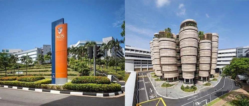 NUS应用经济学2023Fall开放申请！和NTU的AE对比有啥不同？_课程_Finance_Applied