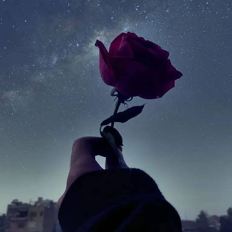 夜读 哪些句子,会让你产生 我一辈子都写不出来”的想法?人间梅花便文字