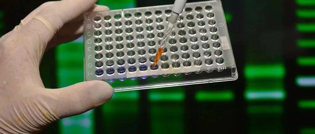 癌症治疗中的“新潮流”：γδ T细胞_疗法_Bio_公司