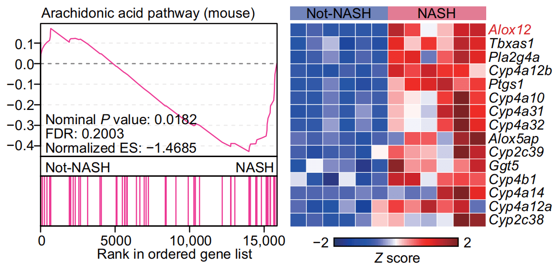 GSEA分析怎么用，看看这些用户文章你就知道！_富集_基因_Kir