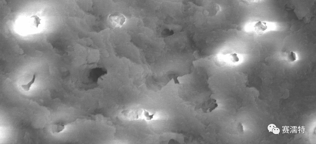 中国锶·C-Root SP：让根管充填如此简单！_口腔_效果_硅酸盐