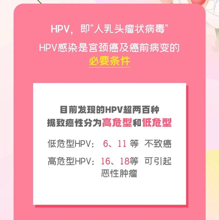 关于HPV，这些一定要知道！_疫苗_什么_董敏