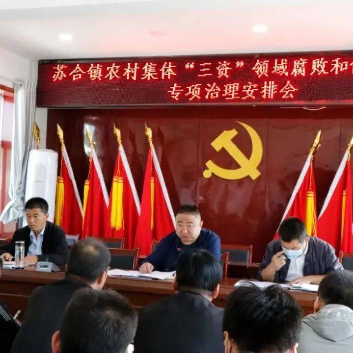 苏合镇召开农村集体“三资”领域腐败和作风问题专项治理工作安排会监督会议工作 