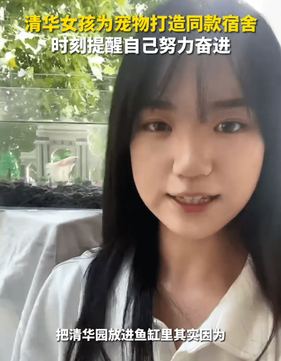 清华女生用积木在宿舍为宠物鱼搭建“清华园鱼缸”：希望小鱼也能鱼跃“清华门”女孩二校门封面 