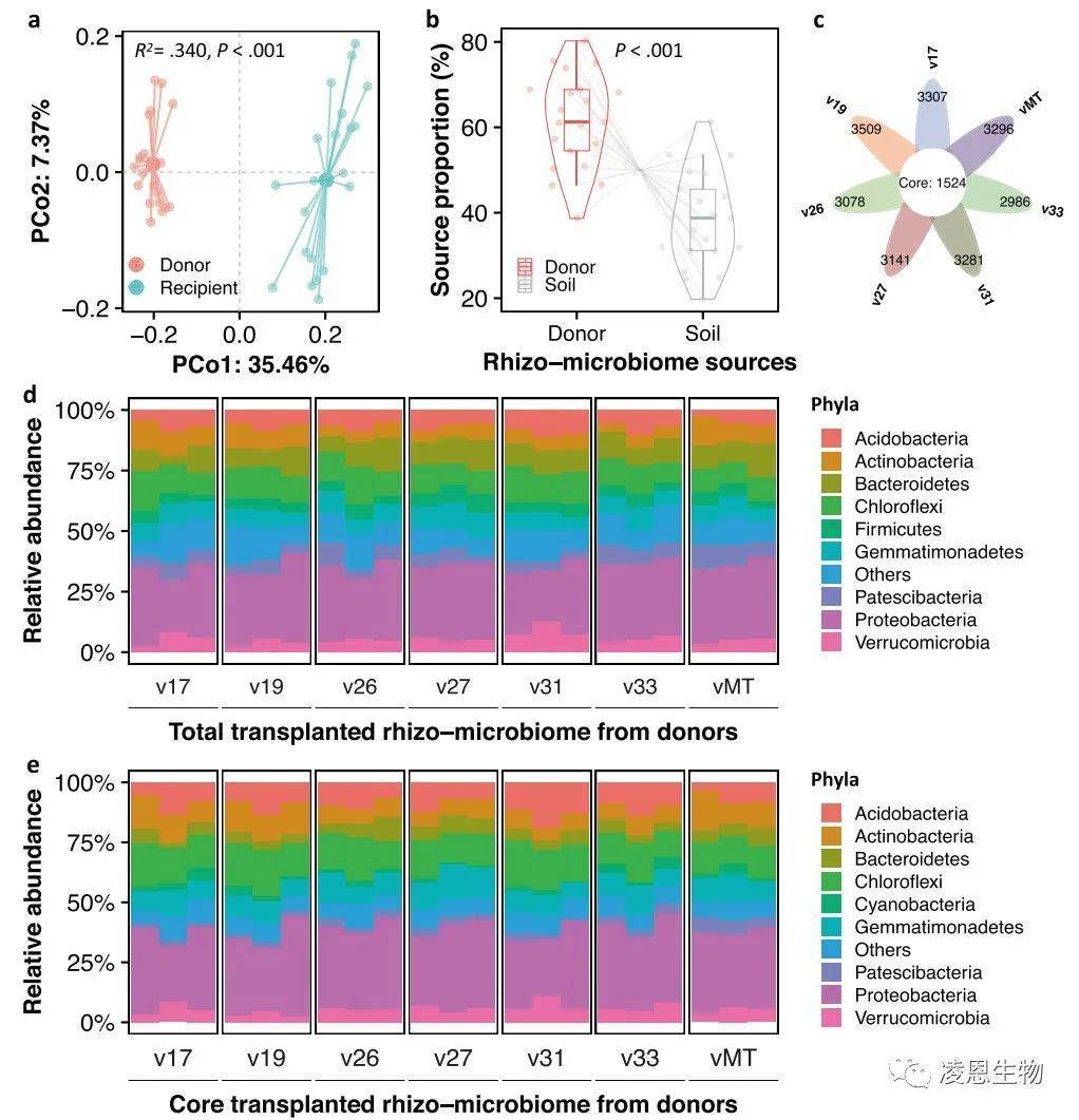 凌恩项目文章|ISMEC：根际菌群移植筑起番茄根际免疫新防线_微生物_植物_茄子