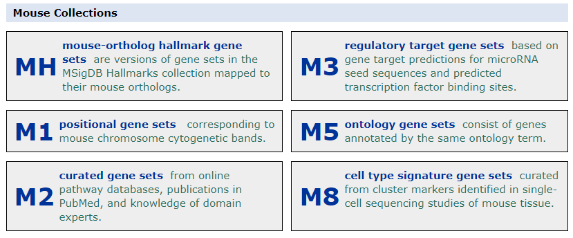 来了，来了！GSEA官网更新，Mouse基因集终于有了“官方认证”_sets_gene_MSigDB