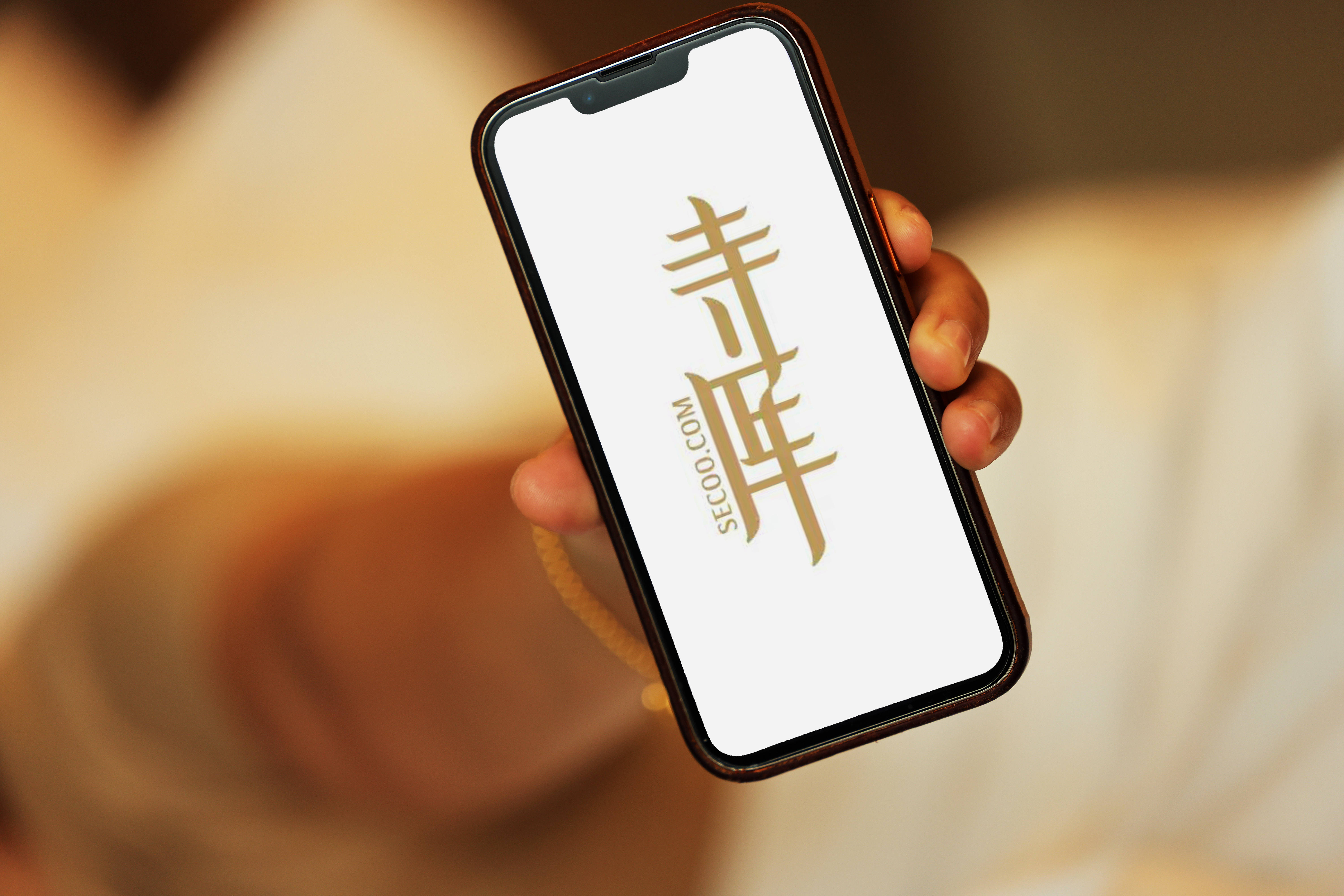 寺库宣布获至多13亿元战略投资_阿拉丁_合作_双方