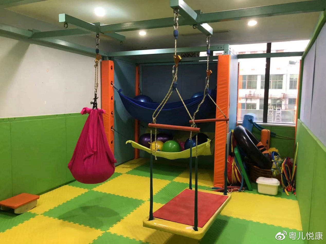 家长宣教课：特殊儿童的感统训练及家庭感统训练指导孩子感觉方式为 