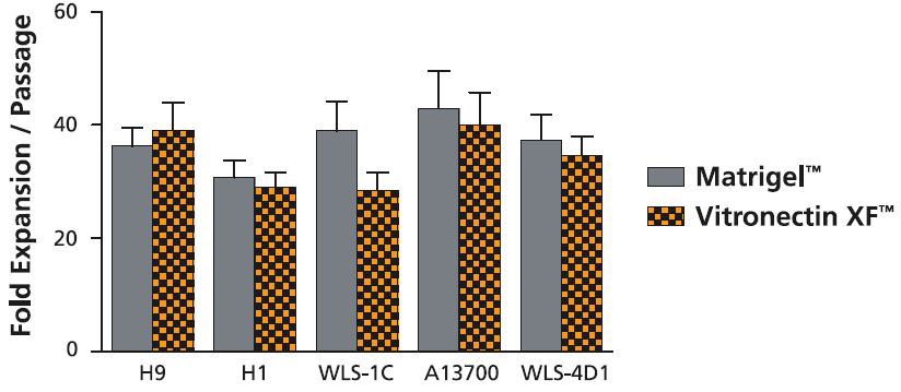 干货 | 如何选择多能干细胞培养的细胞外基质_Laminin_蛋白_Figure
